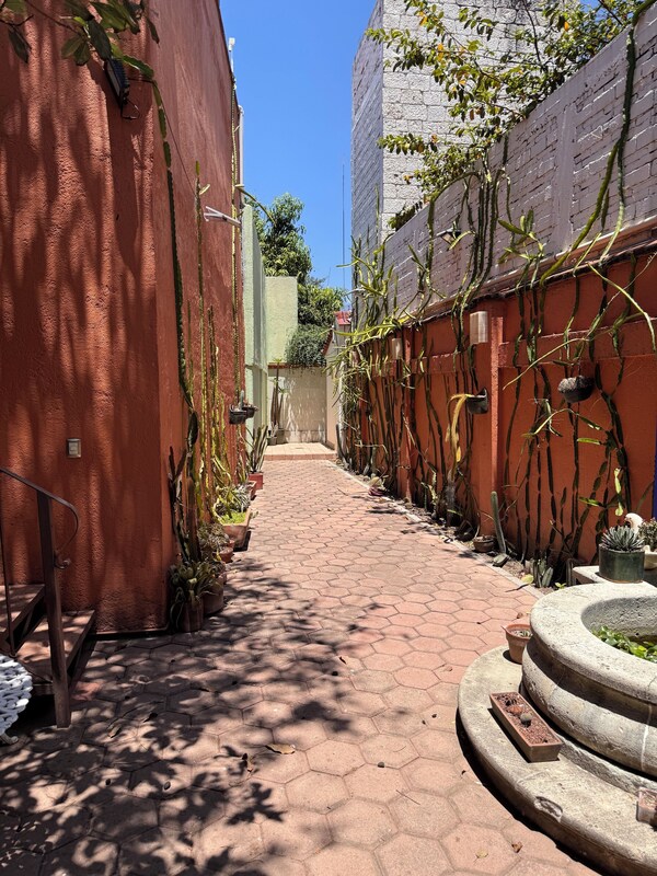 La Casa Del áRbol - Oaxaca Historic Center - Oaxaca