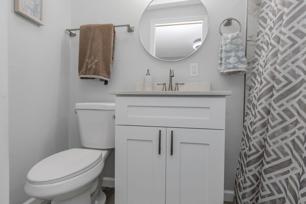 Charming Modern Studio In Central Pinellas Park - St. Petersburg, FL