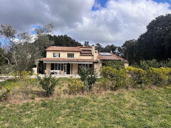 Maison Spacieuse Piscine  Entre Plages, Montpellier Cévennes Animaux Acceptés - Le Crès