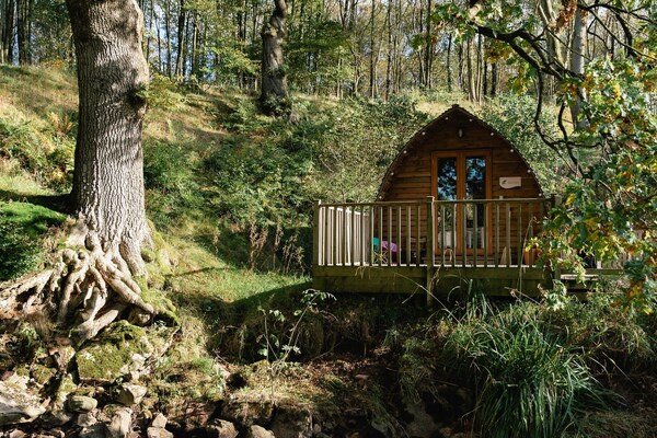Secluded Woodland Cabin In North Cumbria - Scotland