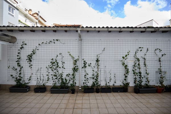 Exclusive Apartment In The Soul Of Pamplona - Pampelune