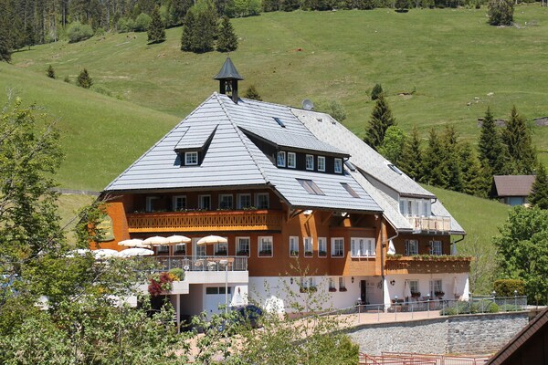 Appartement 'Feldberg' Avec Balcon à La Française Et Wi-fi - Todtnau