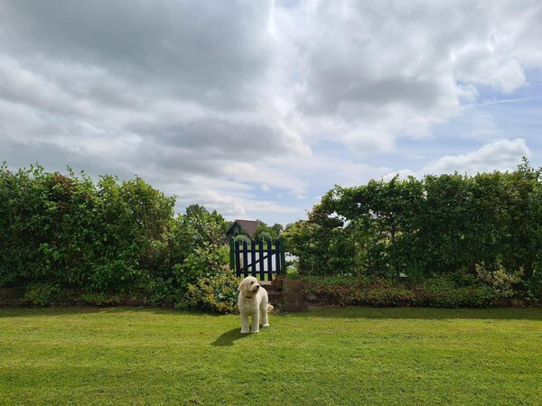 Enjoy Peace And Nature In This Cozy Cottage In The North Holland North. Ideal For Families And Dog Lovers, With A Sunny Terrace, Enclosed Garden And Free Fishing Pass. Close To The Beach, Callantsoog And Schagen - Callantsoog