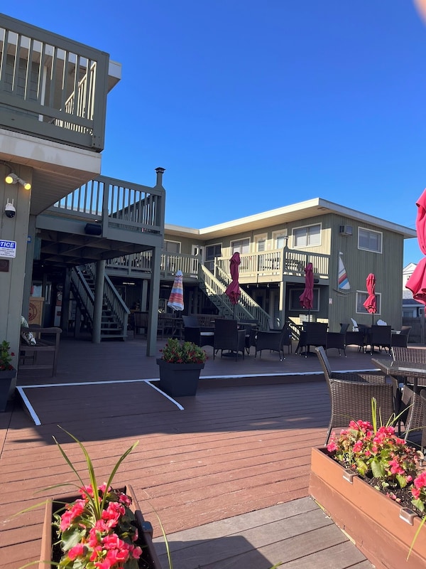 Seashore Condo Hotel #9, Cozy Fire Island Escape, Near Ferry - With Bay Views And Steps From The Beach. - Patchogue, NY