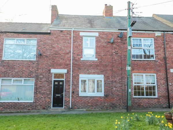 Sunflowers, Pet Friendly, With Open Fire In Whitley Bay - South Shields