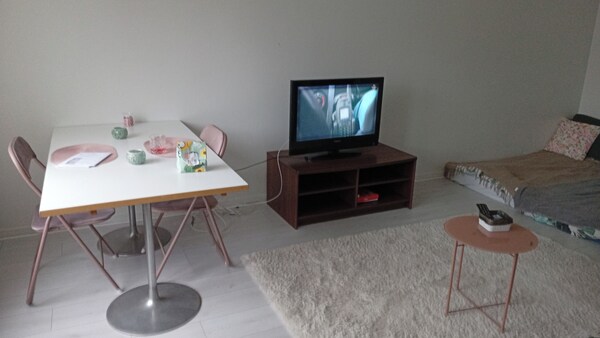 Welcoming Studio In Lahti With Cozy Vibes. Fits For 4 Person To Sleep. - Lahti