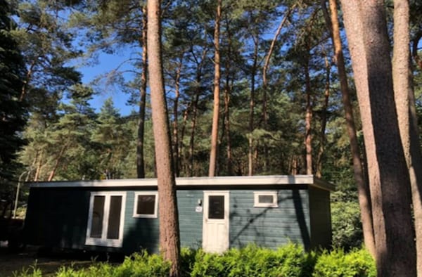 Tranquil Pine Forest Chalet In Antwerp Kempen - Lille, Belgium