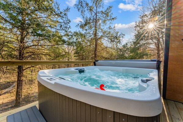 Creeklakeswim Hottub Steamshower Hikingtrails - Omaha, AR