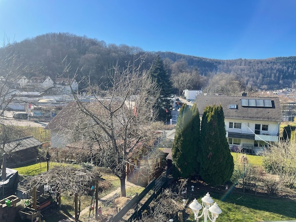 Vacation Apartment "Am Schiff" In Eberbach. - Rothenberg