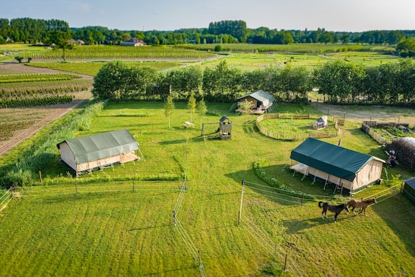 Accogliente Esperienza Di Glamping Nel Limburgo - Best