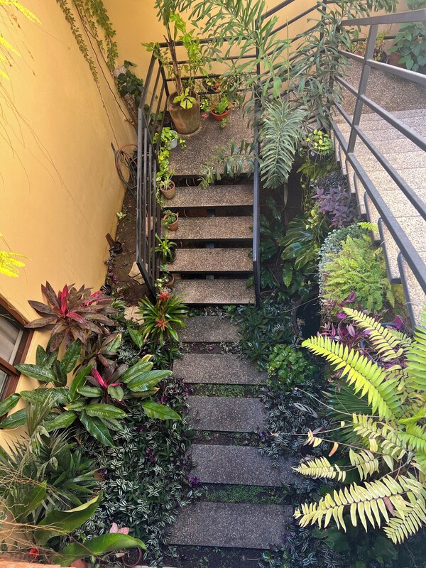 Chic Room In Plant Filled Boutique Hotel Near Beach And Plaza In Lo De Marcos - Lo de Marcos