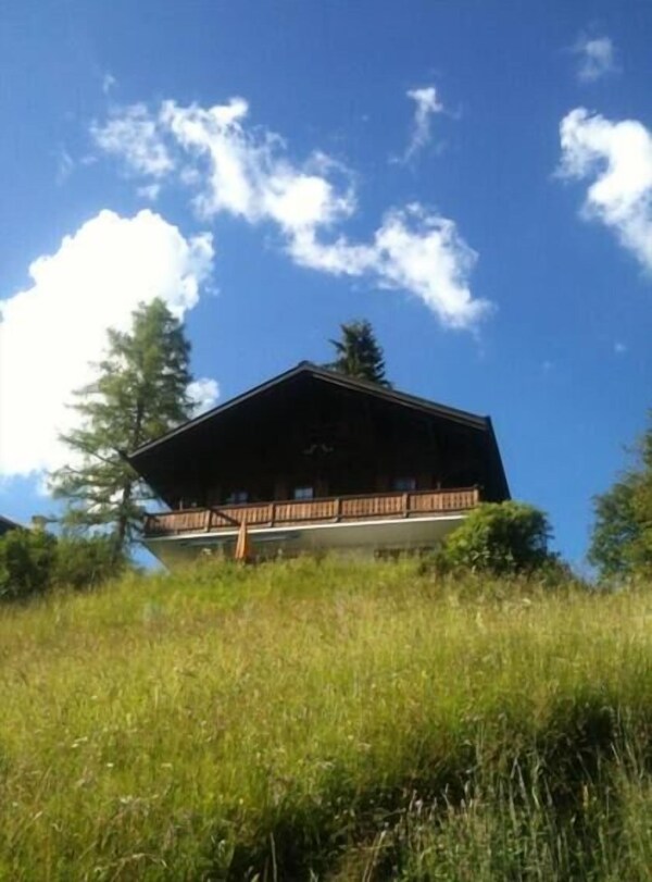 The Chalet, Which Has Just Been Renovated In 2024, Is Located 200m From The Ski Slope Linking The Vi - Gryon