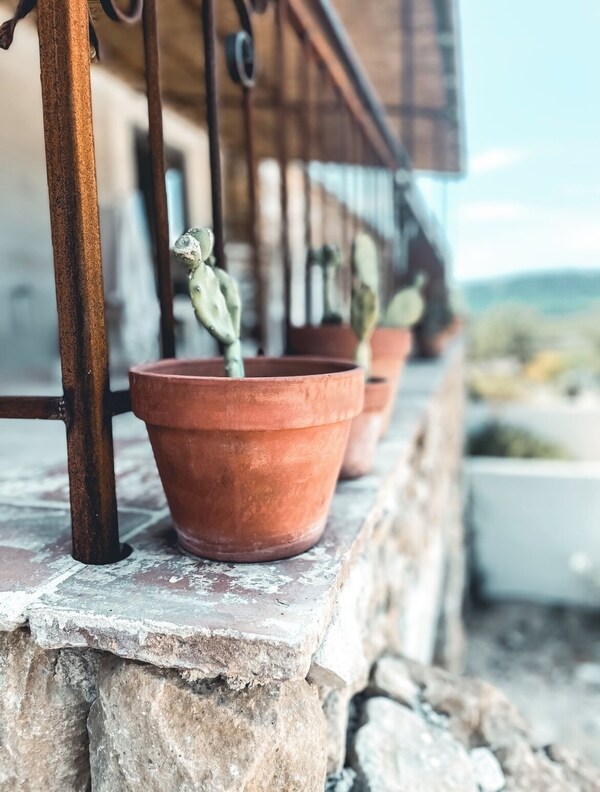 Gîte La Gloire De Mon Père Dans Un Domaine à Uzès - Aubussargues