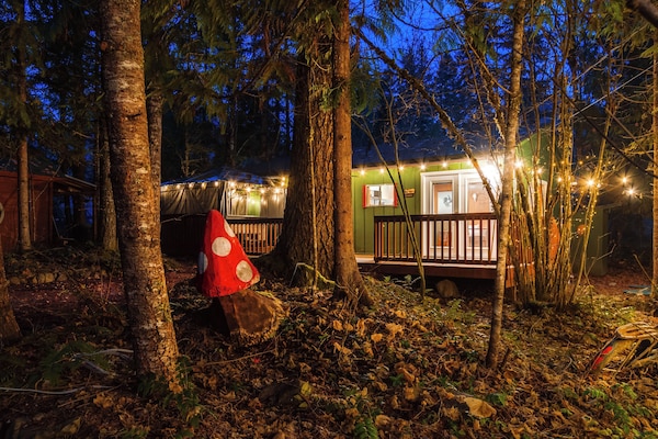 Rainier Explorer-mount Rainier Np-ski-hottub - Packwood, WA