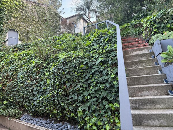 Charming Bungalow House In Sherman Oaks W/ Pool Table, Fire Pit, Hot Tub & Piano - Los Angeles, CA