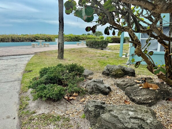 Unique Oceanside Escape 19 - Cocoa Beach, FL