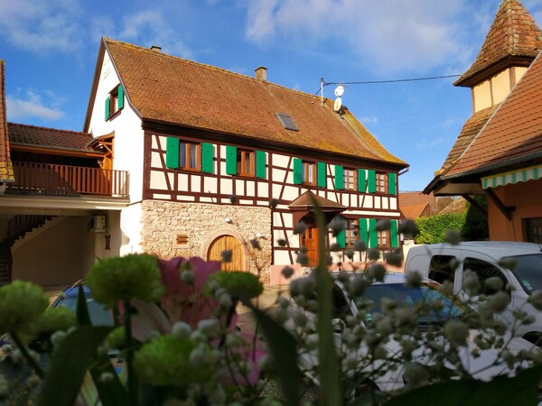 Gîte Le Nid Des Hirondelles à Kogenheim / 3 éPis - Benfeld