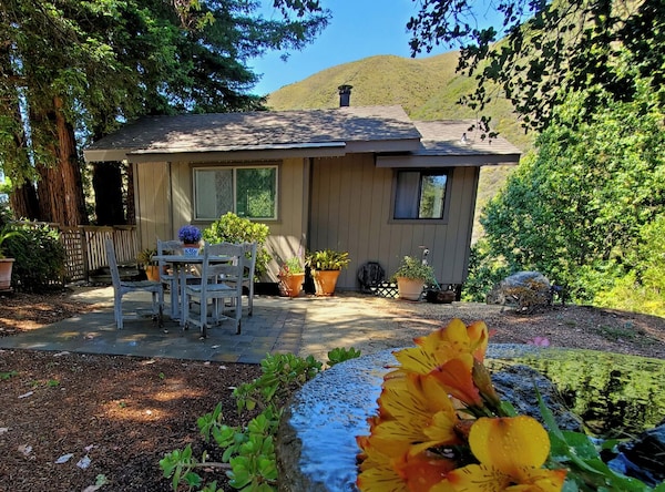 The Little Gem In Big Sur W/private Hiking & Views - Big Sur, CA
