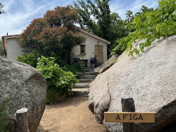 "A Figa" Authentic Stay In U Sirenu - Sartène