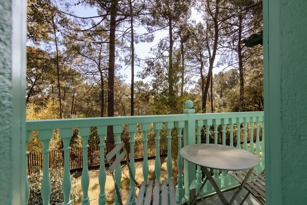 Maison De Vacances à Lacanau  Piscine, Pinède & Golf, à 5 Min De Locéan - Lacanau