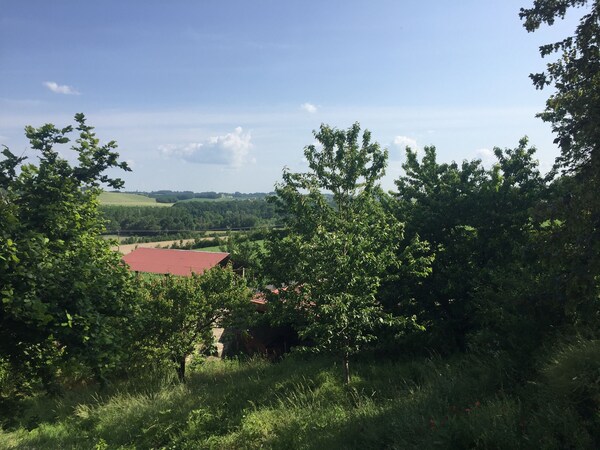 Gîte Traditionnel Et Bio Dans La Vallée De La Tude  Nature, Confort Et Détente - Charente