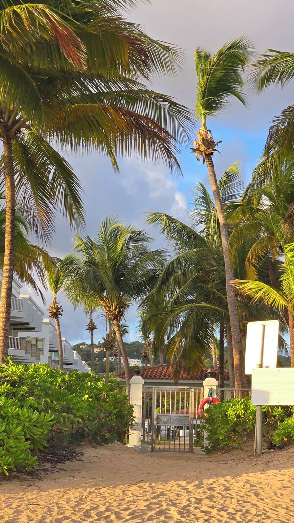 Vereda Del Mar (Vdmar) Beach Penthouse - Puerto Rico