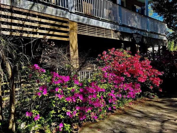 Guest House - Cressy House B&b - Mandeville, LA