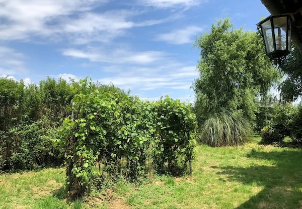 Cozy Stay Among Apple Orchards With Hot Tub - Dordogne