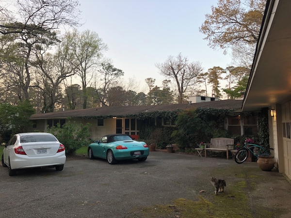 Charming 1-bedroom Private Suite. Easy Walk To Beach And Boardwalk. - Virginia