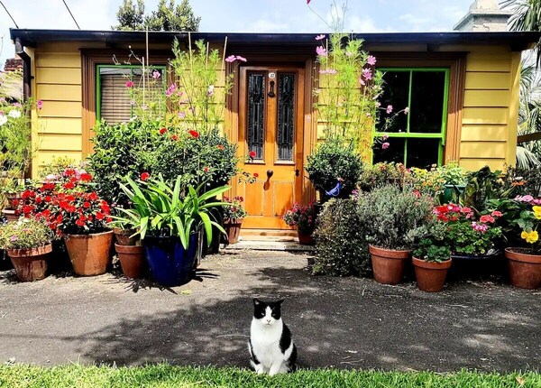 Bag End. Cosy Secluded Suite In Central Auckland Close To Ponsonby Rd - North Shore