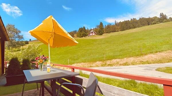 Apartamento 'Nr 14' Con Vistas A La Montaña, Terraza Compartida Y Wi-fi - Todtnau