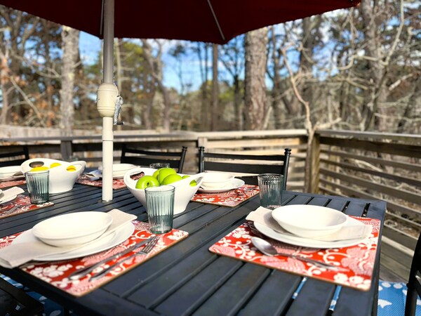 The Mod Pod~2 Bd/2.5 Bth/dog/games/steps To Beach - Wellfleet, MA
