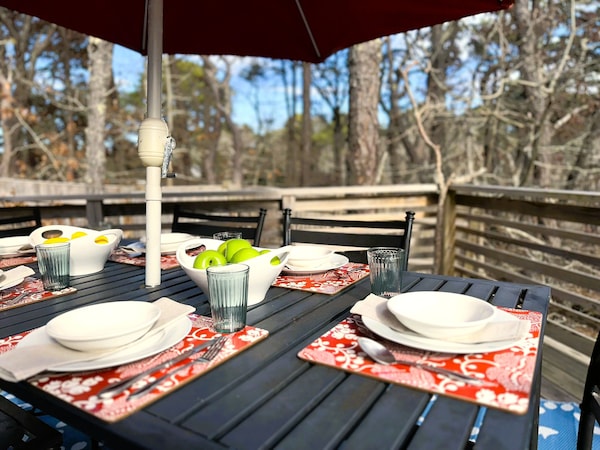 The Mod Pod~2 Bd/2.5 Bth/dog/games/steps To Beach - Wellfleet, MA