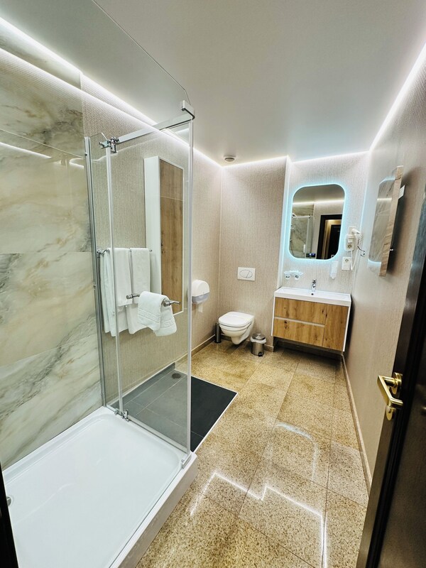 Elegance Meets History: A Look Inside Villa Levoslav House - Cristian