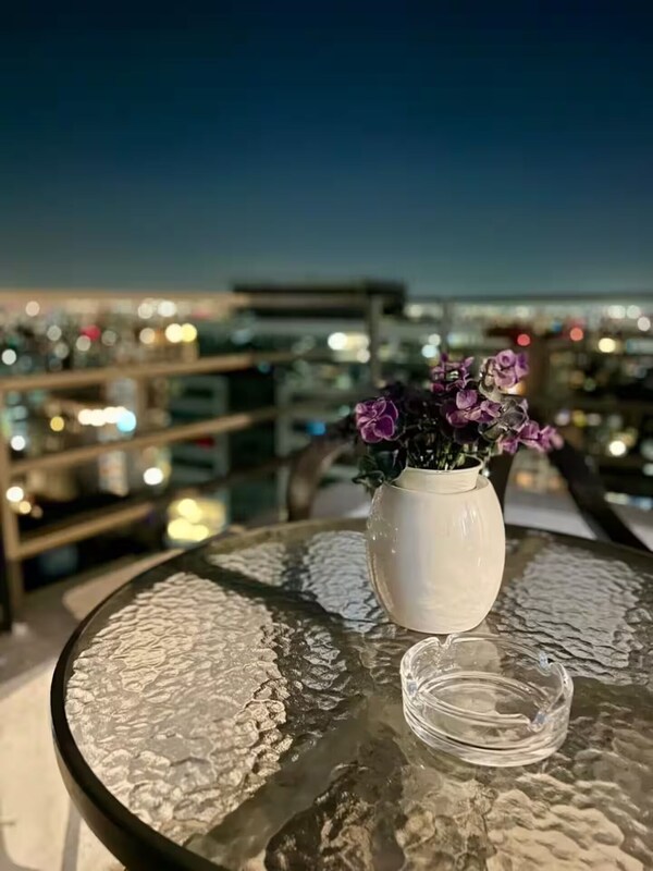 Nueva Providencia Apartment - Vitacura
