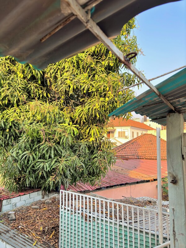 Charming 1br Apt In The Heart Of Maculusso-free Netflix-high Speed Wifi - Luanda