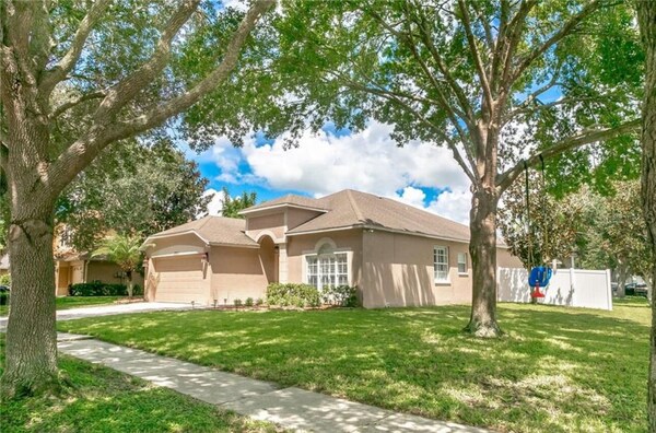 Central To All Activities - Odessa, FL