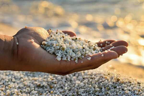 Appartamento A Pochi Minuti Dalle Spiagge Più Belle Della Sardegna - Cabras