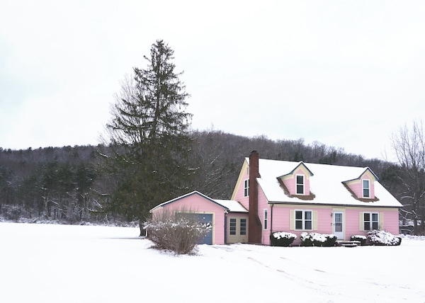 Roxy  Cozy Catskill Cottage - Roxbury, NY