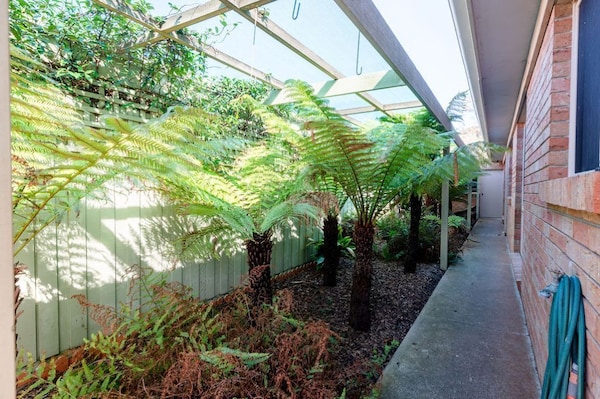 Location, Location 300 Mts To Rye Foreshore! - Melbourne