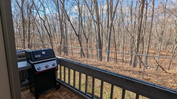 Poconos Nest & Nook: A Cozy King & Queen 2br With A Jacuzzi Room Facing Nature - Worthington State Forest, Columbia