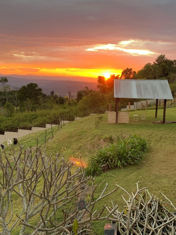 Pindari Cottage, Top Of The Range! - North Coast