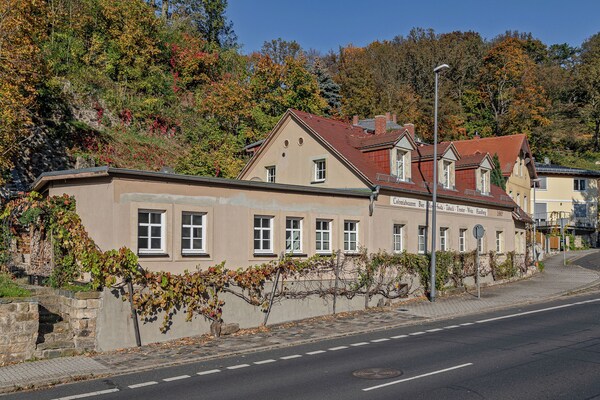 Luxurious Limestone Mansion - 320 Sqm - 7 Rooms - Dresden