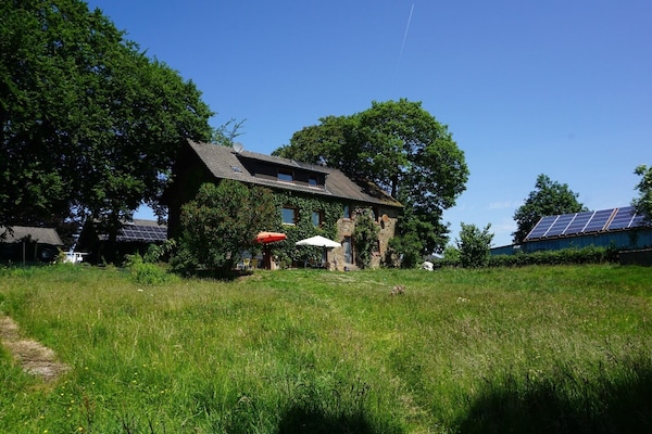 Family-friendly Vacation Home Distelfink Am Nationalpark-pets Welcome! - Hellenthal
