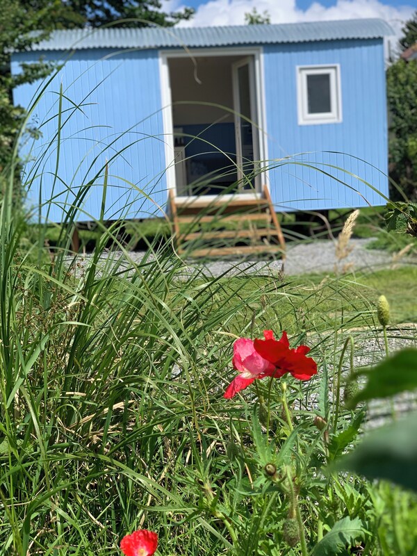Apple Tree Hut (With Hot-tub) - Pembrokeshire