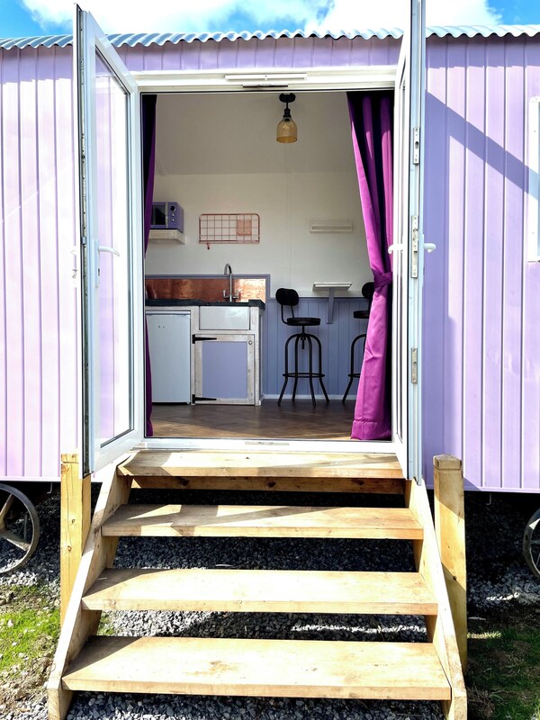 Lilac Tree Hut ( With Hot-tub) - Tenby
