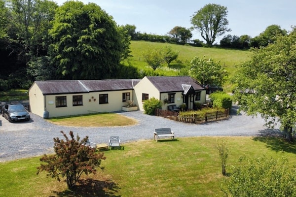 Cornflower, Cornflower Cottage, Saundersfoot. - Amroth