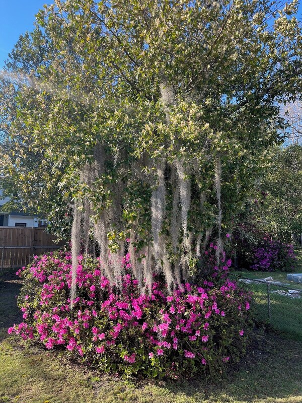 Classic 3-bedroom 2-full Bath Bungalow In Old Hanahan With Sunroom And Yard - Goose Creek, SC