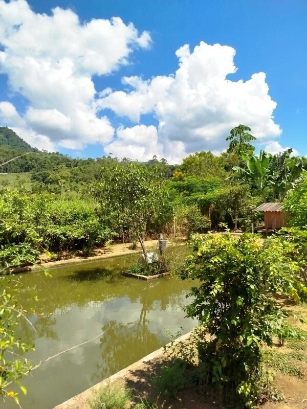 Chalé Completo Para Hospedagem Familiar, Próximo Ao Parque E Ao Pico Da Malwee - Joinville