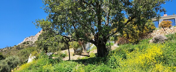 Relaxing, Hiking, Climbing In El Chorro - Álora